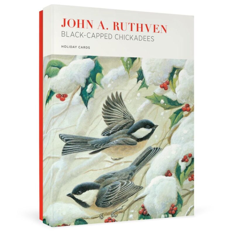 John Ruthven: Black Capped Chickadees Holiday Cards | VMFA Shop