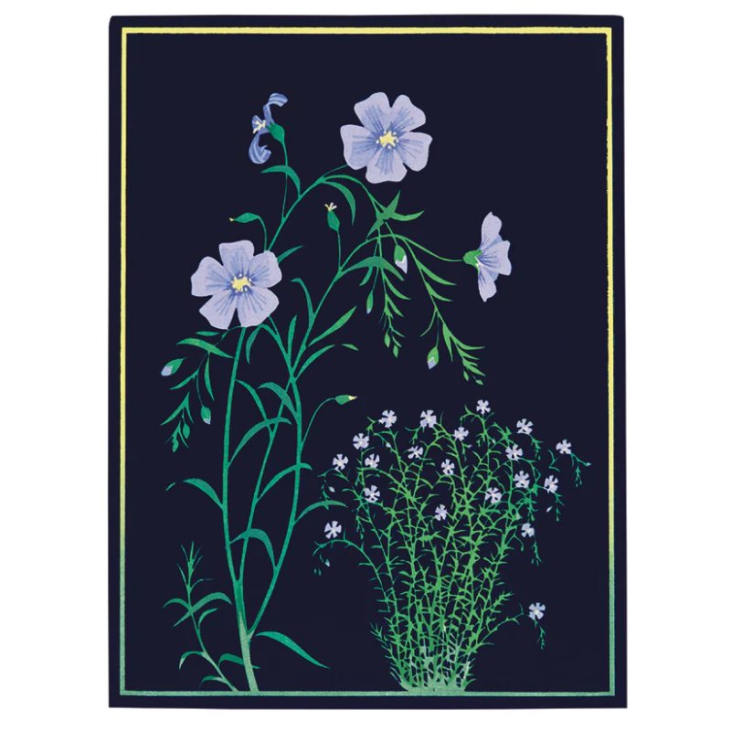 Kate Krasin: Blue Flax Small Boxed Cards | VMFA Shop