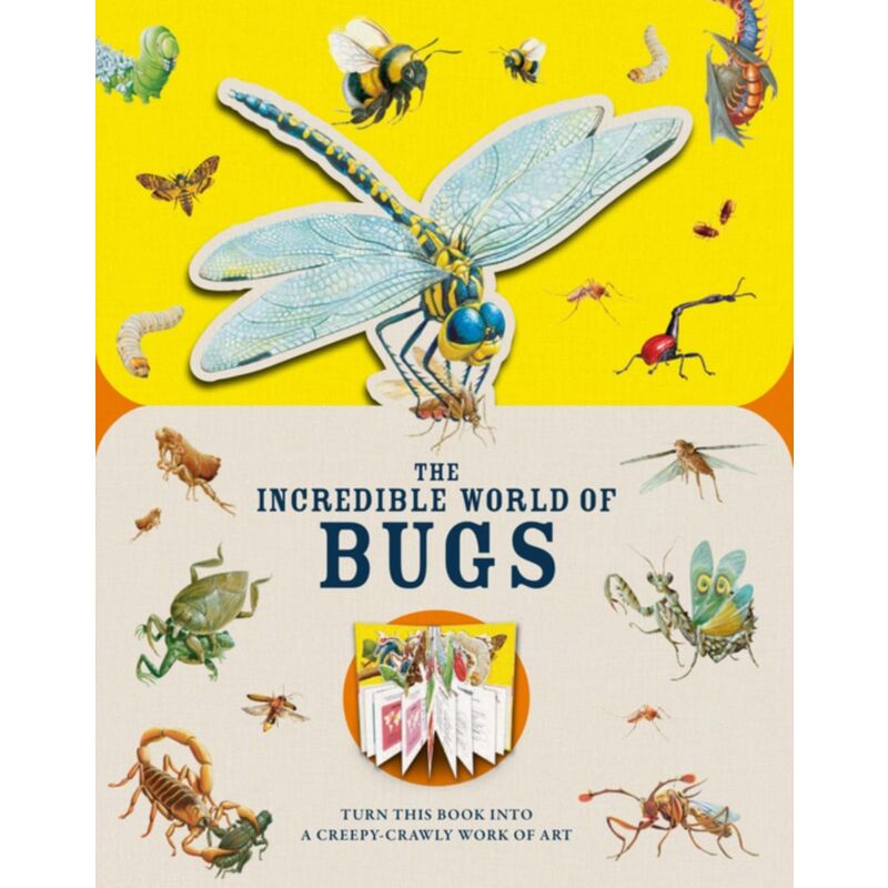 The Incredible World of Bugs | VMFA Shop